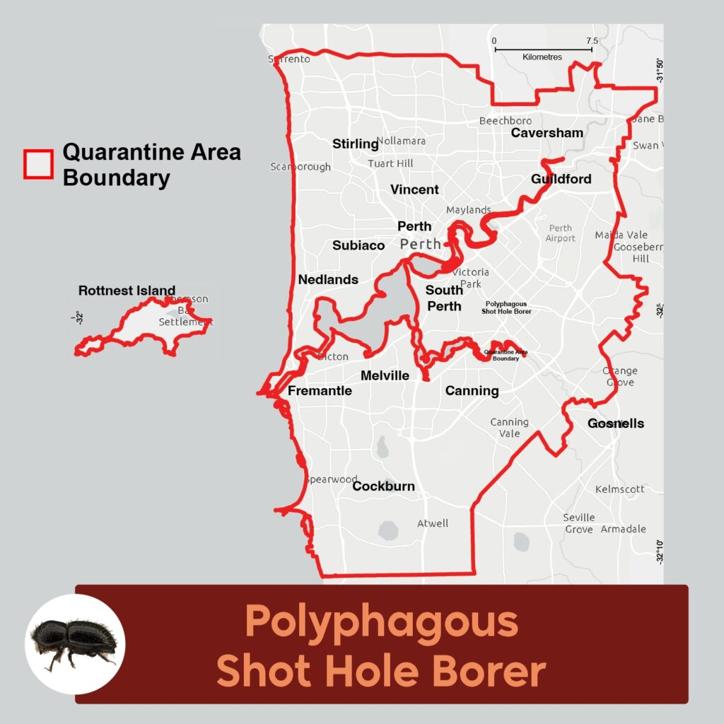 WA Addressing the Devastating Impact of Polyphagous Shot-Hole Borer on ...
