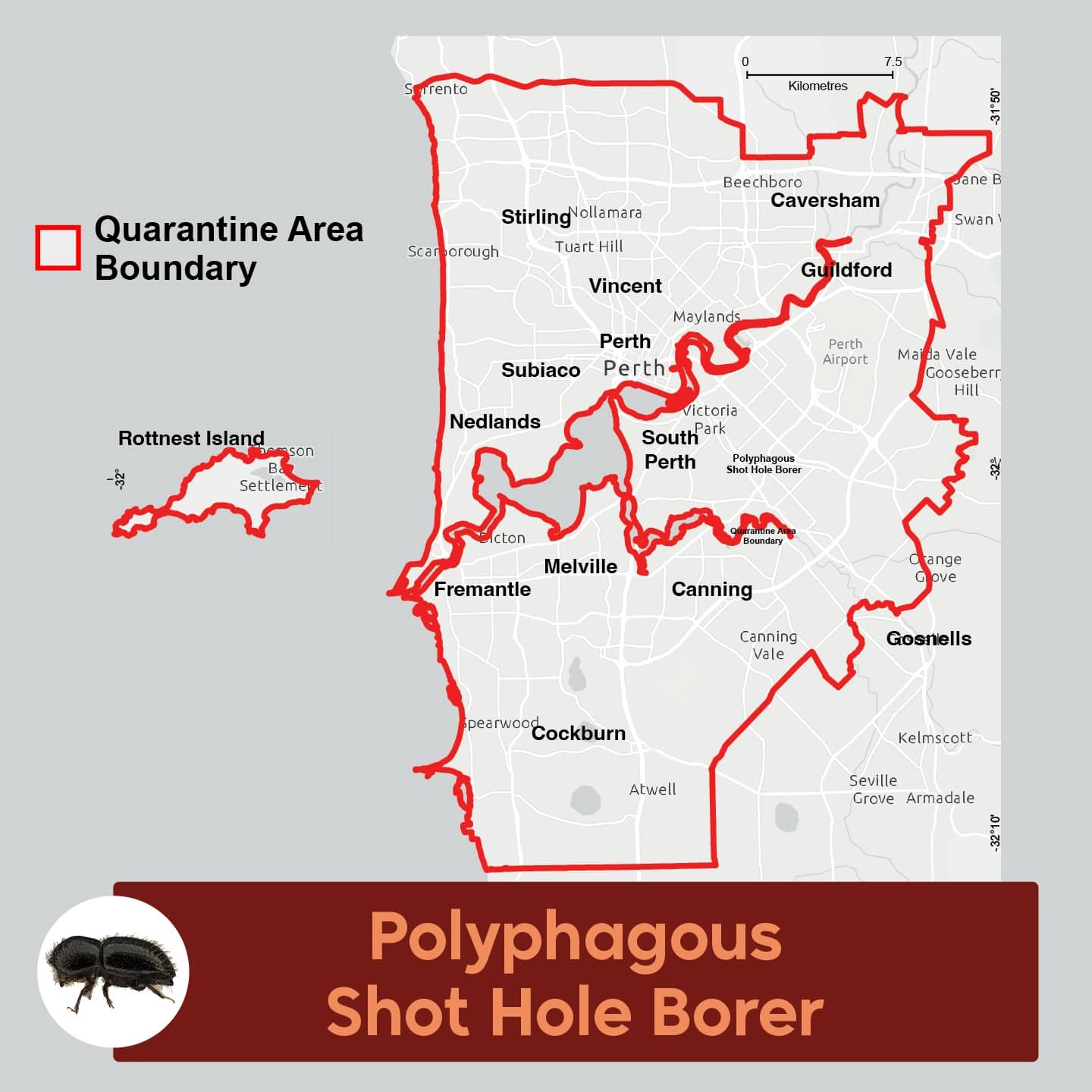 WA Addressing the Devastating Impact of Polyphagous Shot-Hole Borer on ...