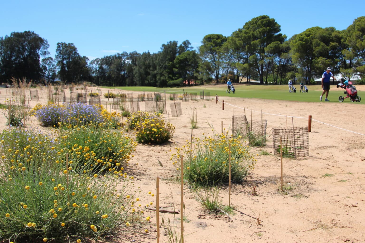 2024 National Awards of Excellence Winners - Parks & Leisure Australia
