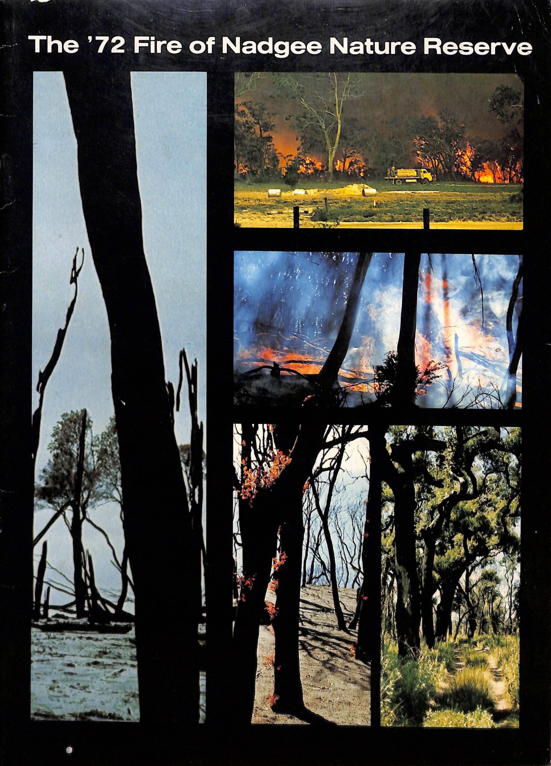 Nadgee Nature Reserve - Wildfire of 1972 - Parks & Leisure Australia